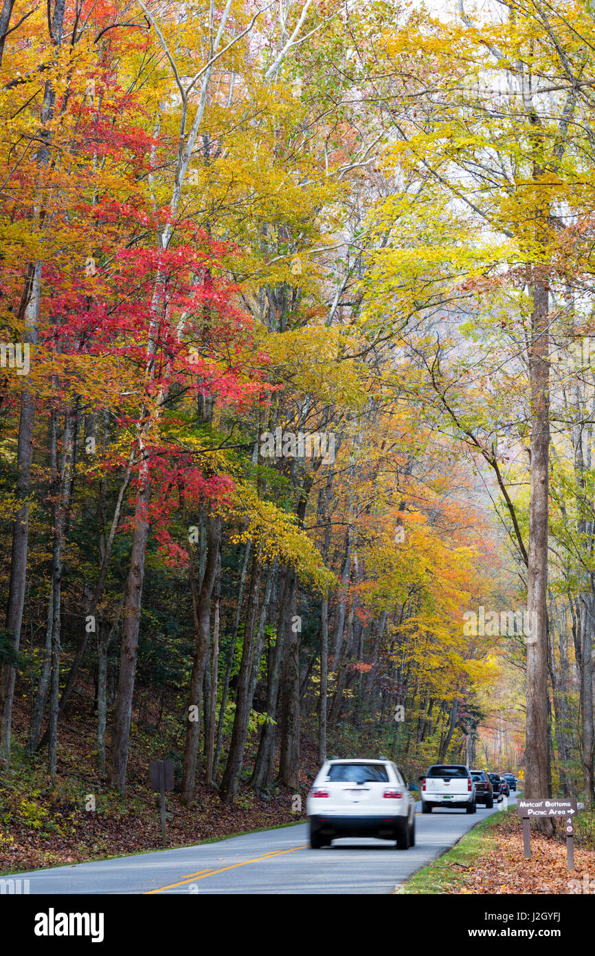 Tennessee, Great Smoky Mountains National Park, view along Little River ...