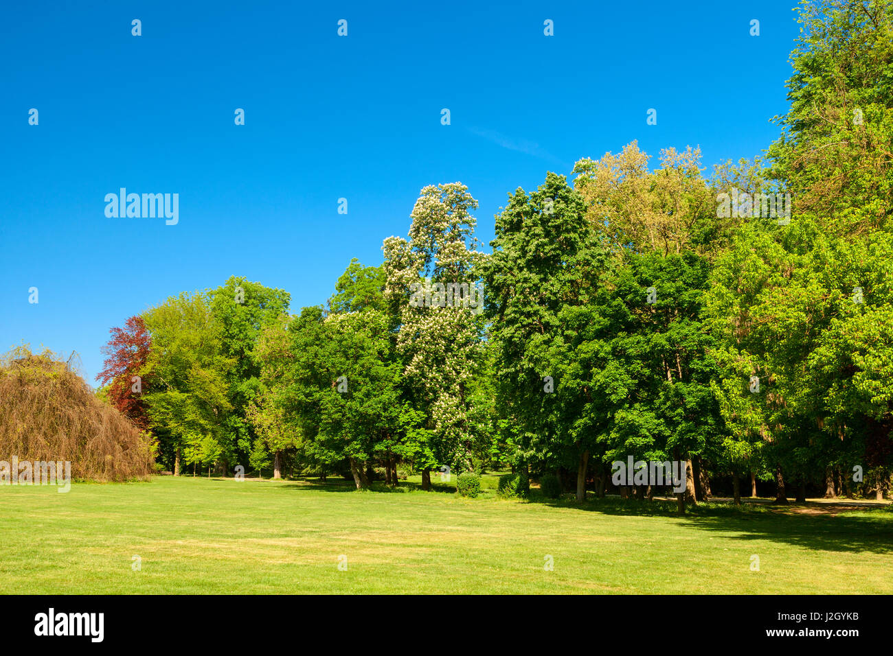 Monza park hi-res stock photography and images - Alamy
