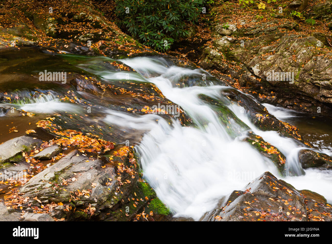 Tennessee, Great Smoky Mountains National Park, Little River Stock ...