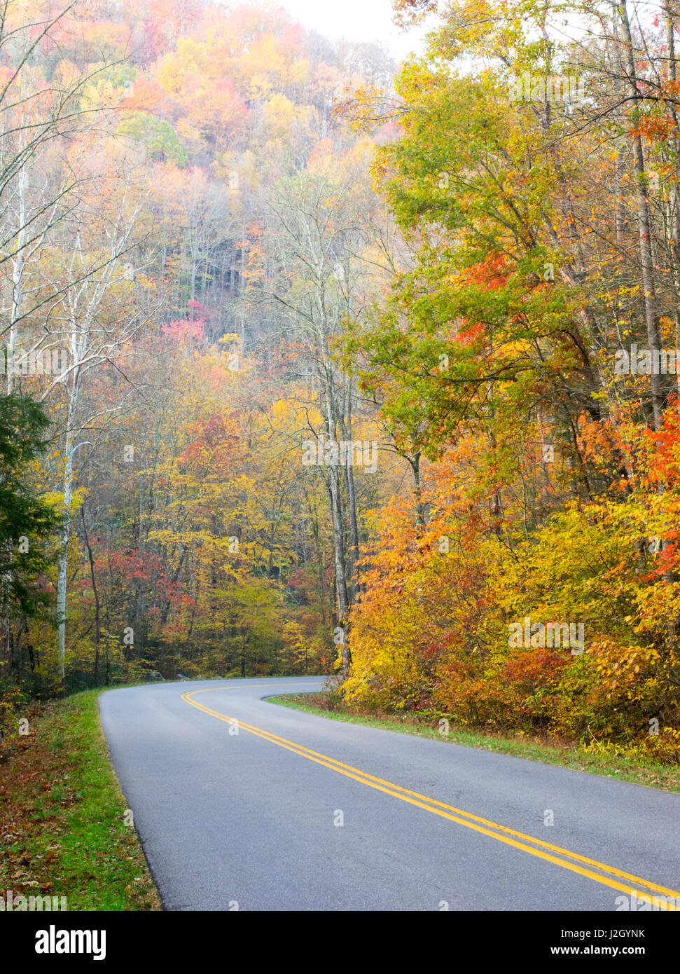 Tennessee, Great Smoky Mountains National Park, view along Little River ...
