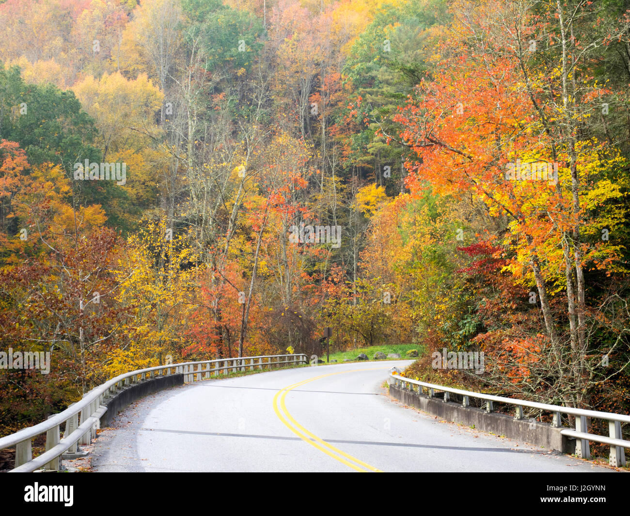 Tennessee, Great Smoky Mountains National Park, view along Little River ...