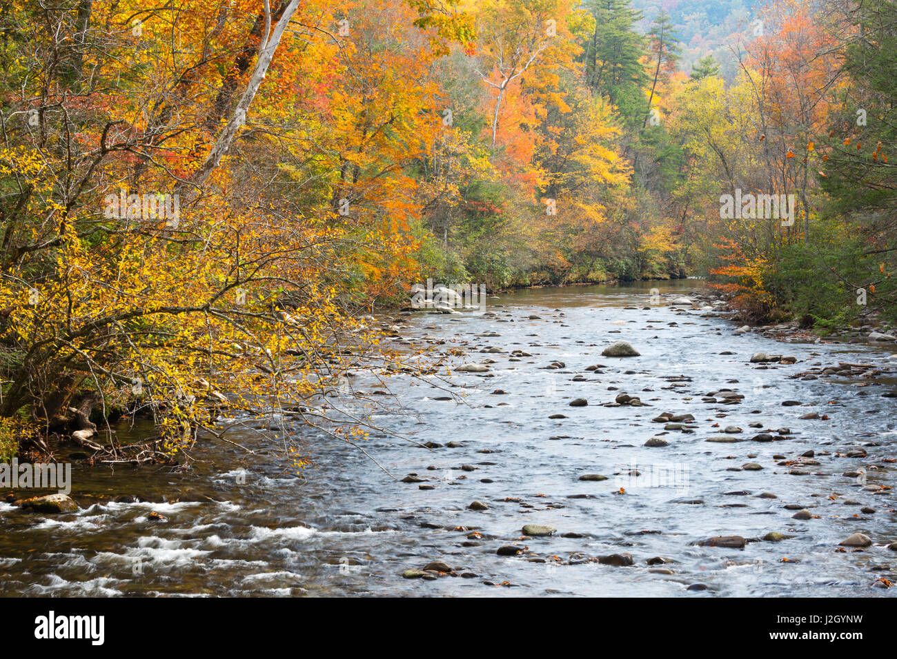 Tennessee, Great Smoky Mountains National Park, Little River Stock ...