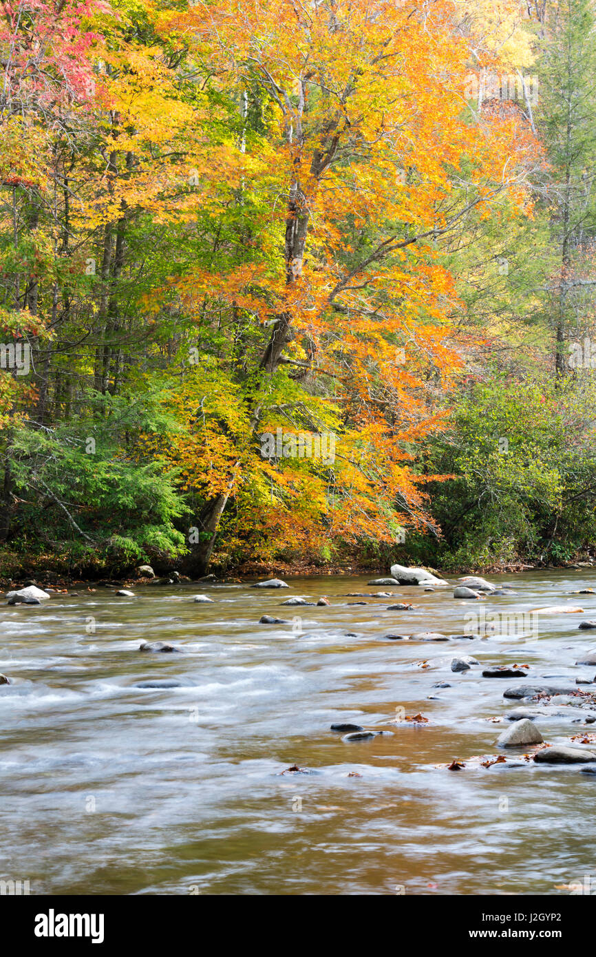 Tennessee, Great Smoky Mountains National Park, Little River Stock ...
