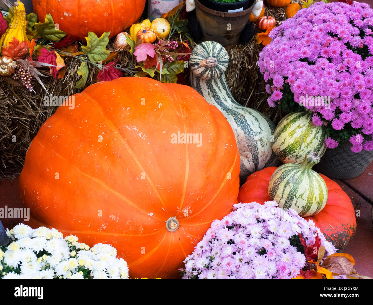 Tennessee, Gatlinburg, Halloween decorations Stock Photo - Alamy