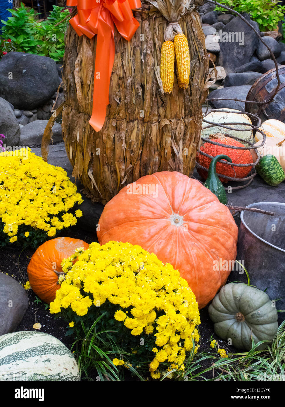 Tennessee, Gatlinburg, Halloween decorations Stock Photo - Alamy