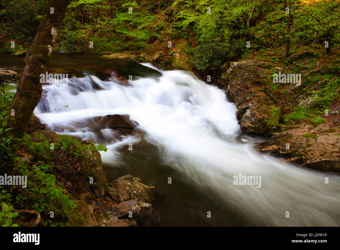 USA, Tennessee, Cascade along the Little River in the Smoky Mountains ...