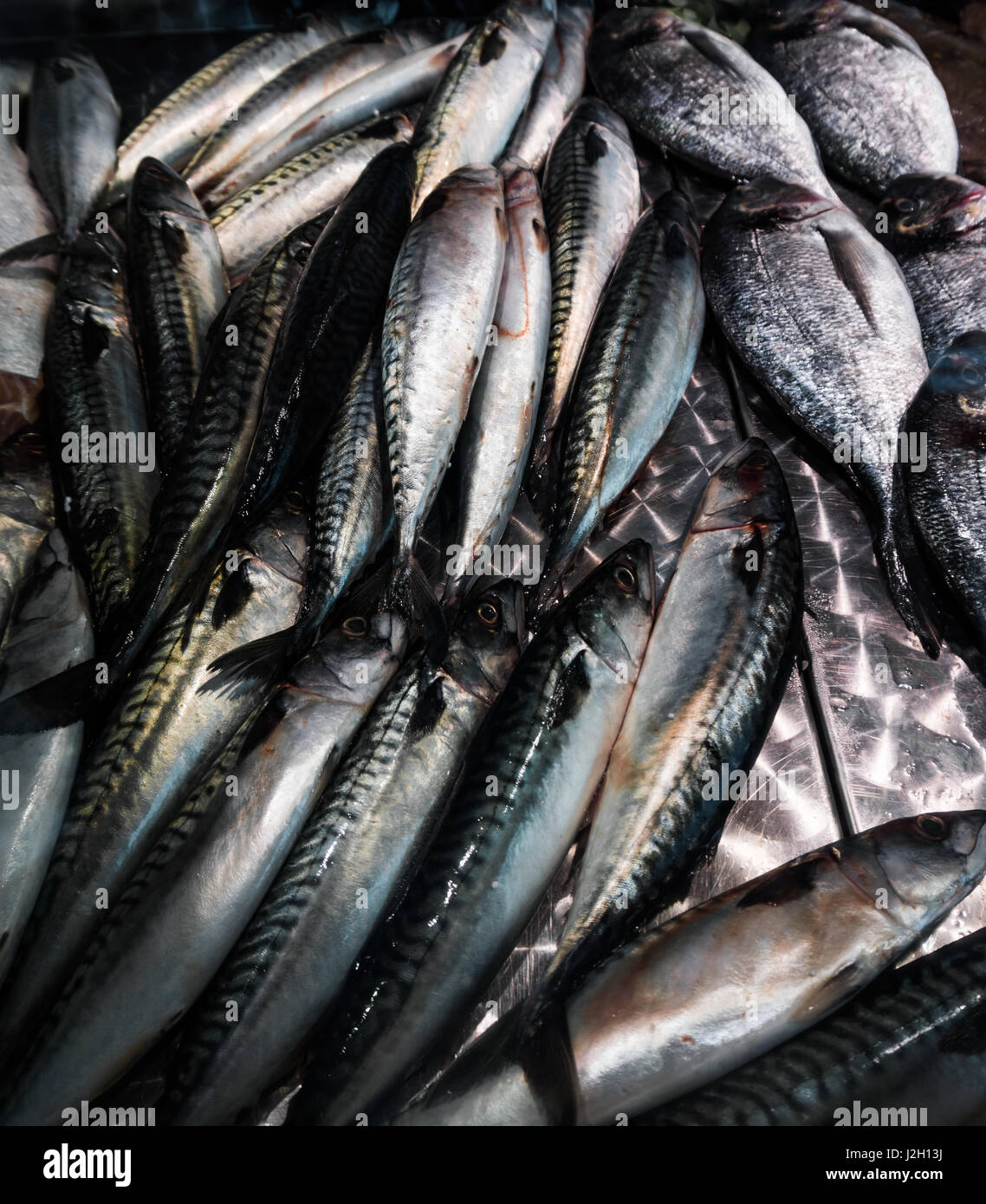 Fresh mackerel fish (Scomber scrombrus). Mackerel for sale at a fish ...