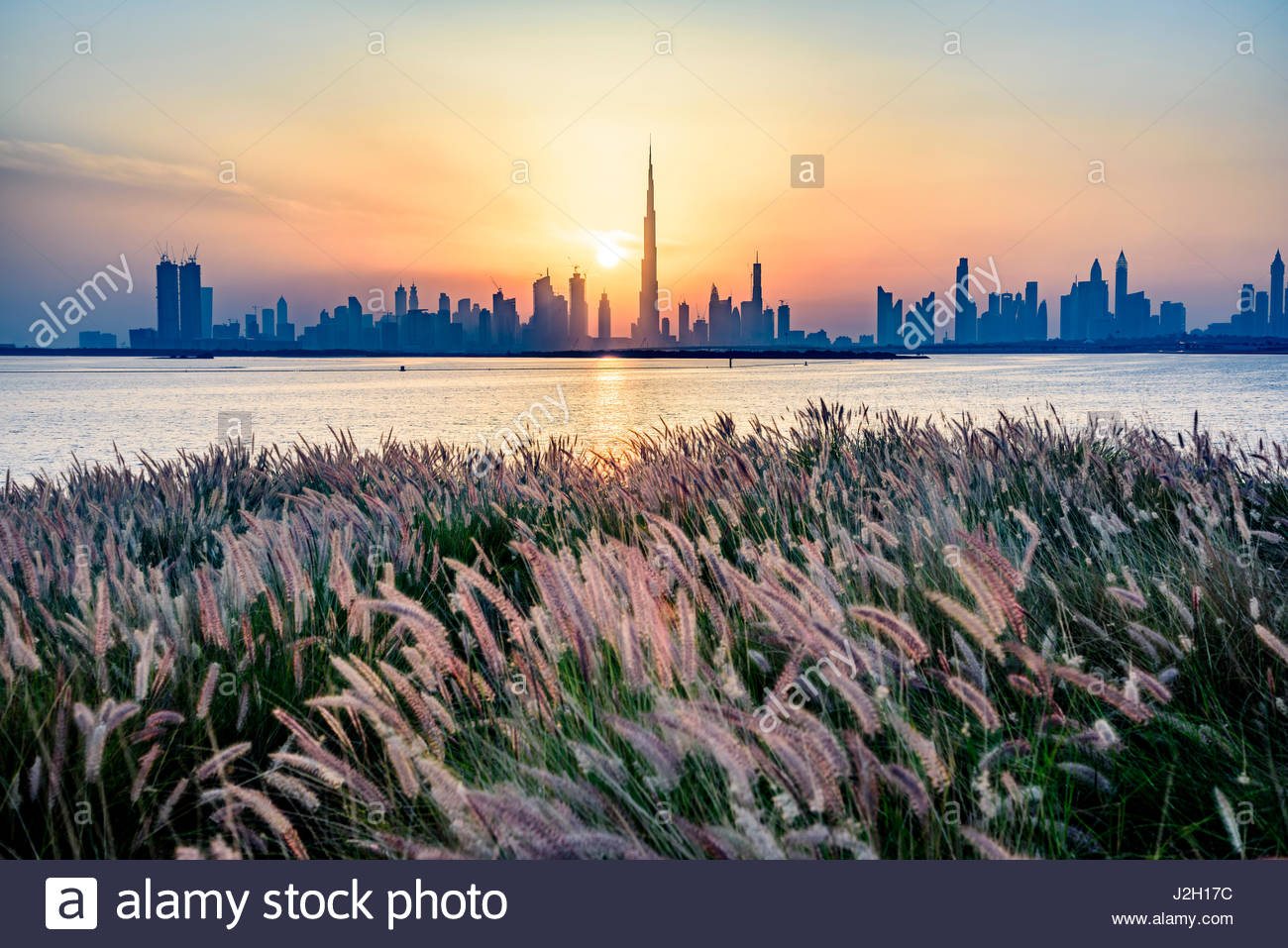 Ras Al Khor Stock Photos & Ras Al Khor Stock Images - Alamy