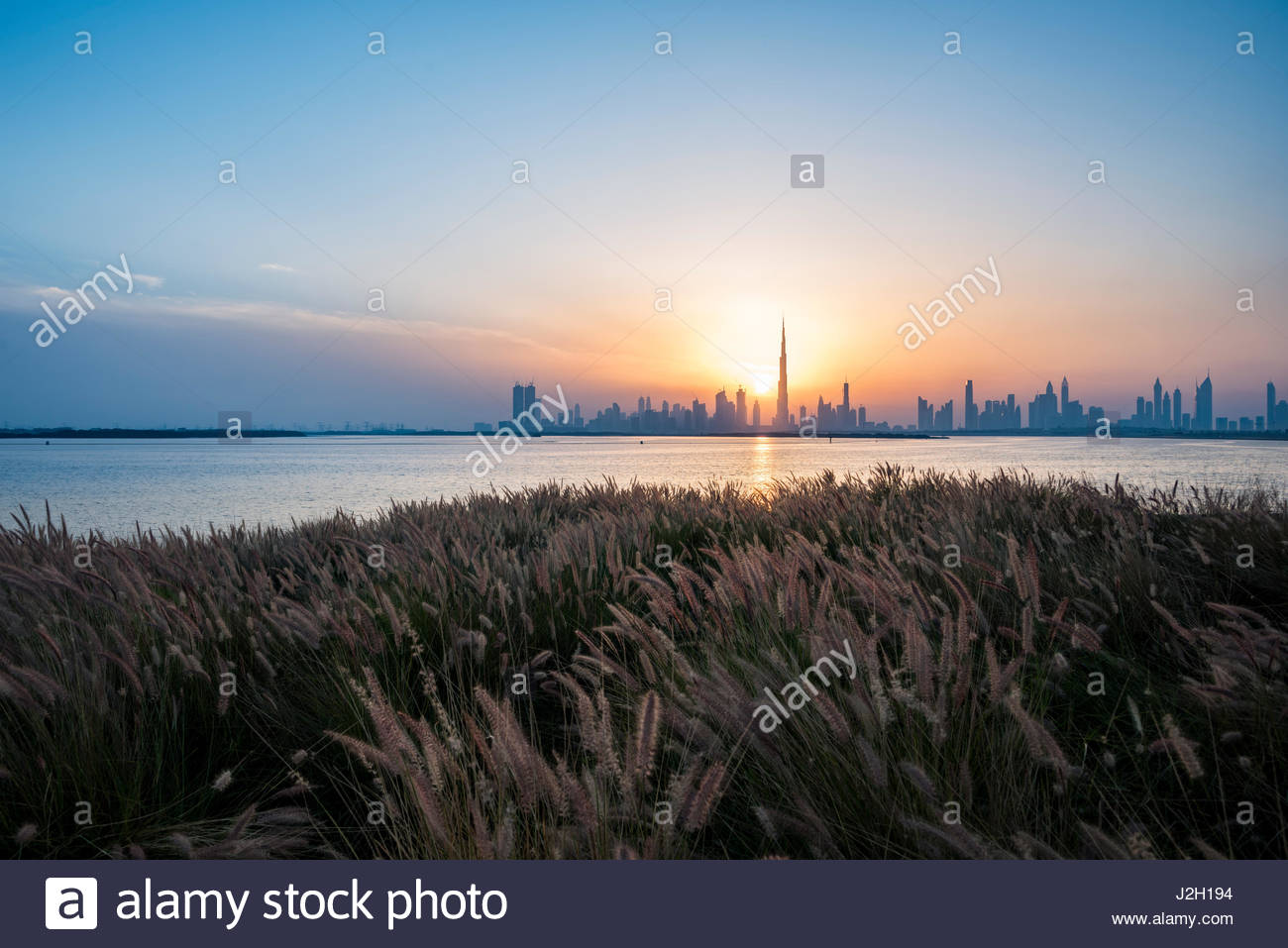 Ras Al Khor Stock Photos & Ras Al Khor Stock Images - Alamy