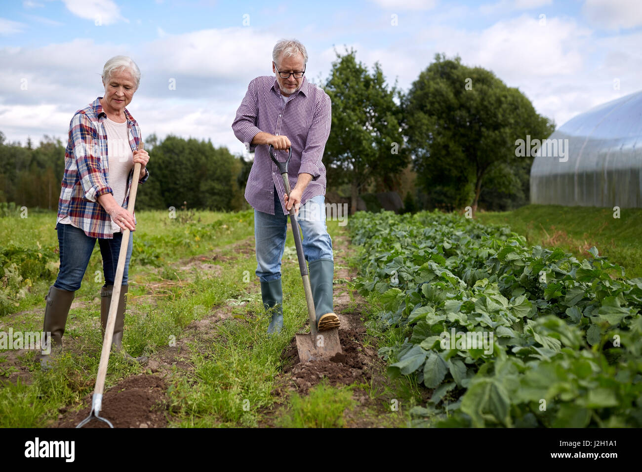 senior couple with shovels at garden or farm Stock Photo - Alamy