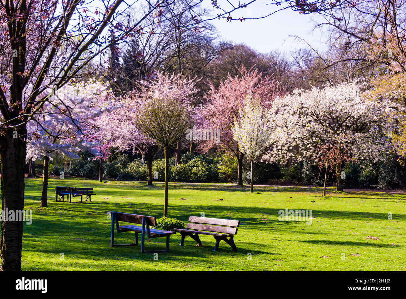 Spring nature background. Spring landscape Stock Photo - Alamy