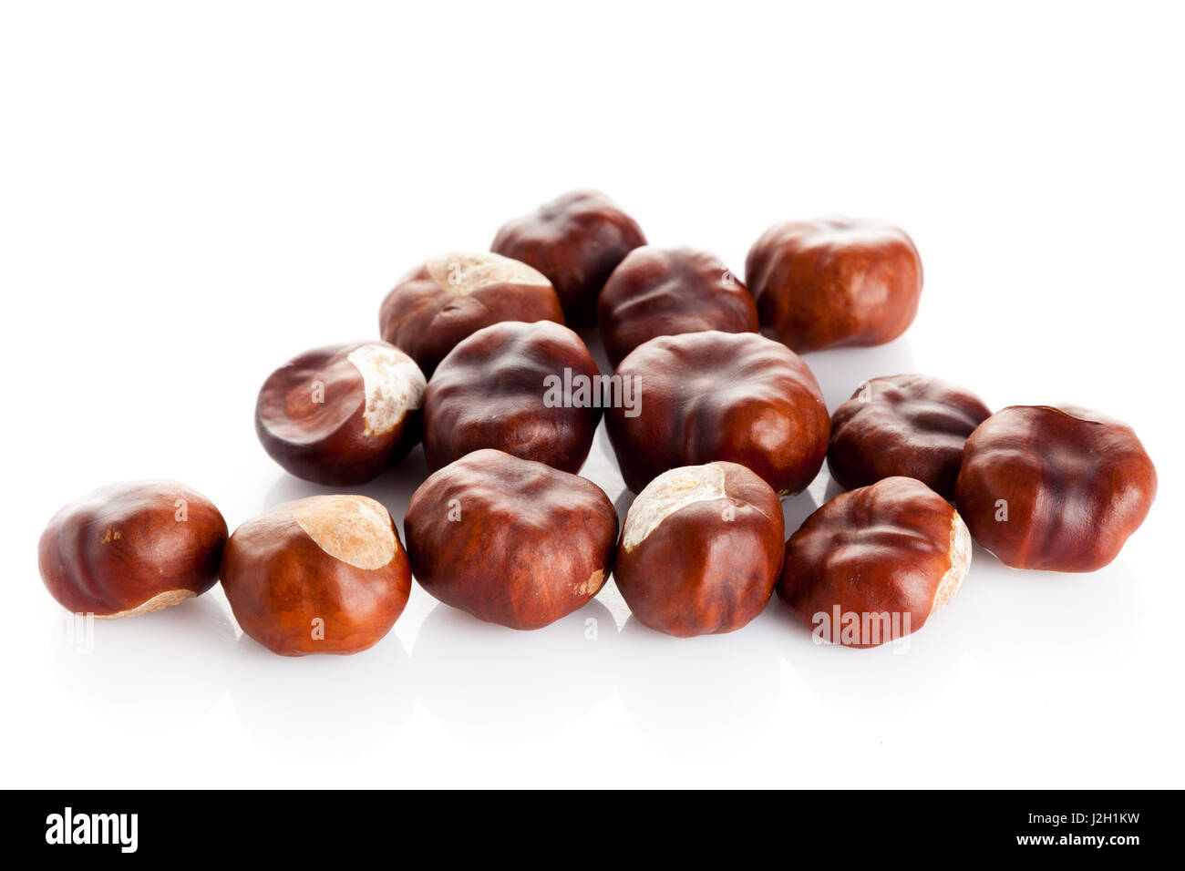 Chestnut on white background. ripe chestnuts Stock Photo - Alamy