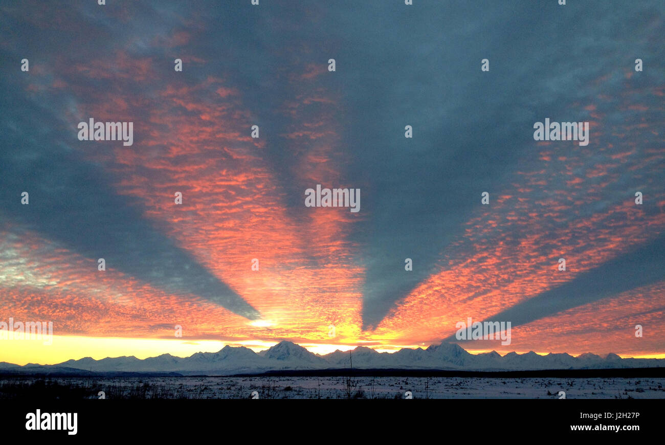 Delta junction alaska hi-res stock photography and images - Alamy