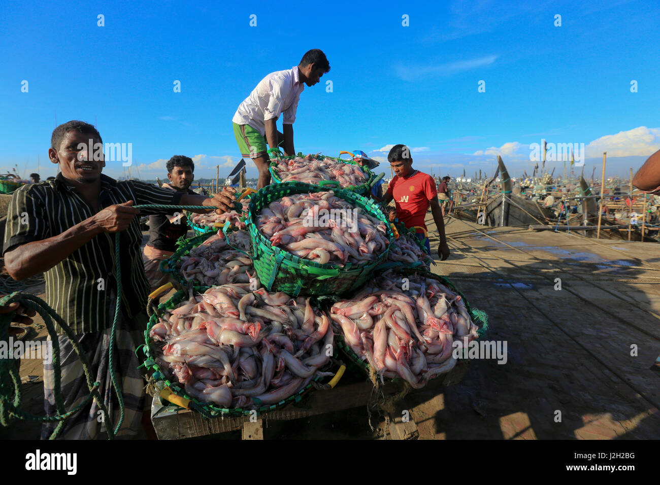 Load of fish hi-res stock photography and images - Alamy