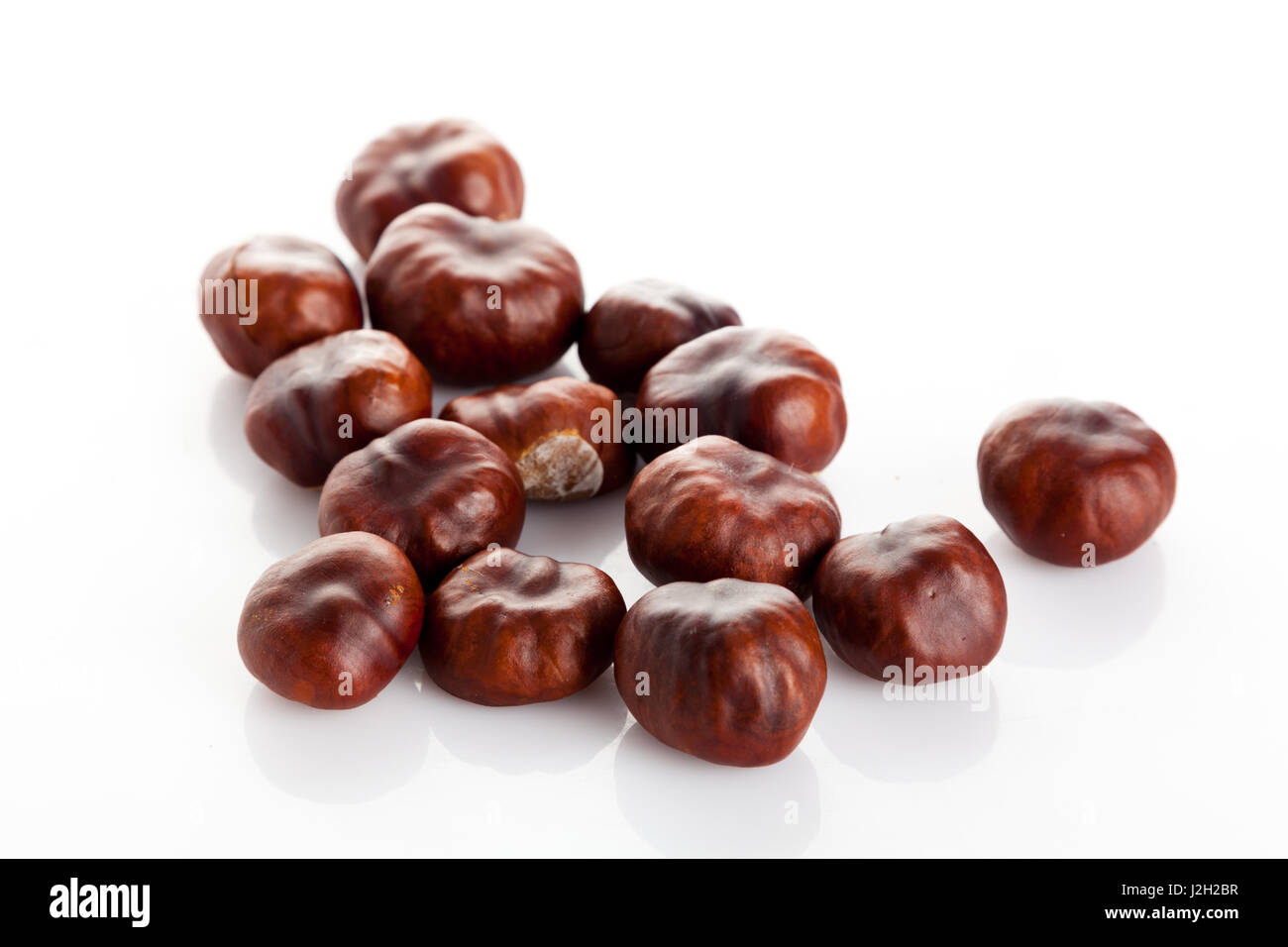 Chestnut on white background. ripe chestnuts Stock Photo - Alamy