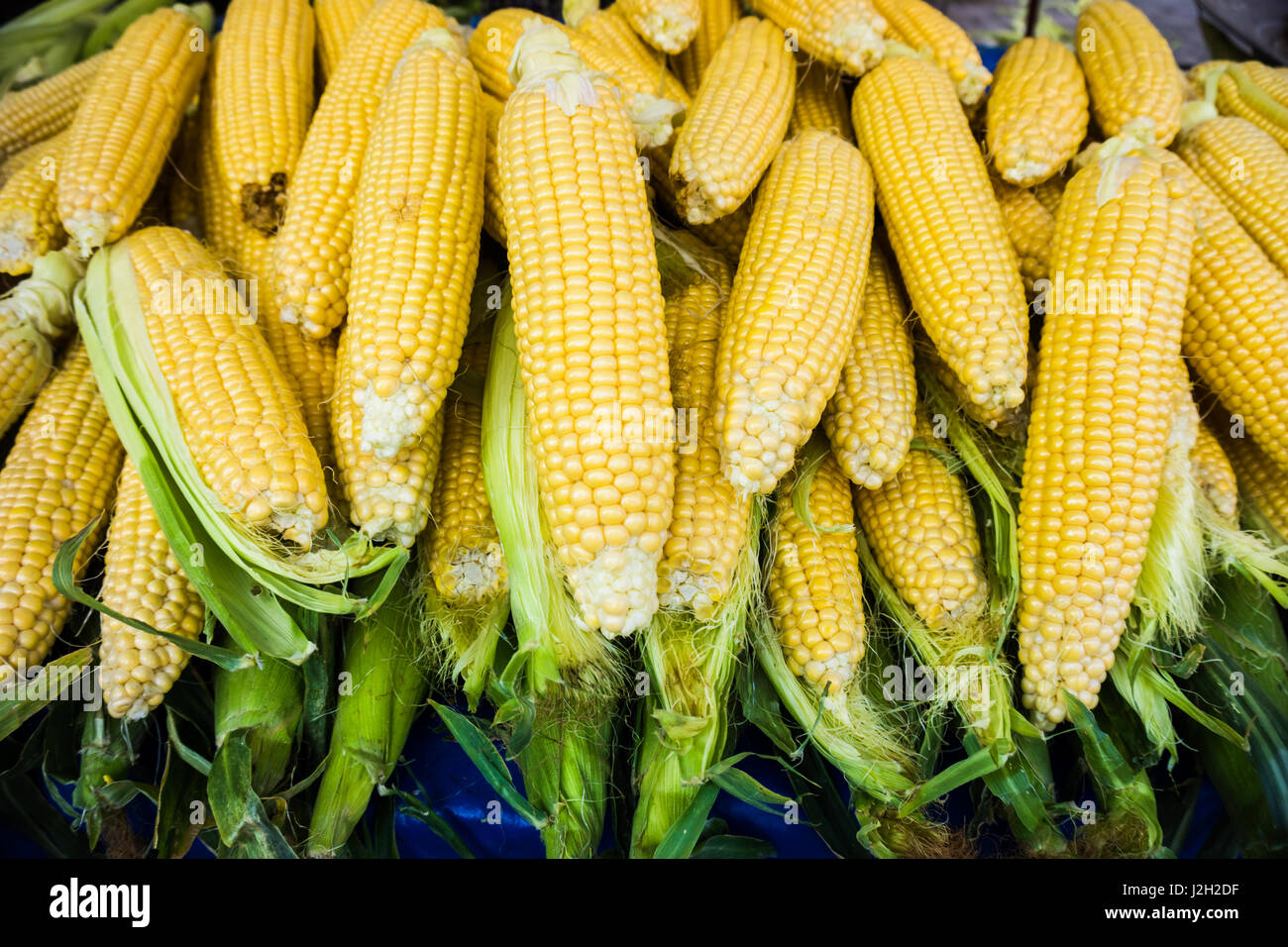 market stall with corncobs. Fresh sweet corn Stock Photo - Alamy