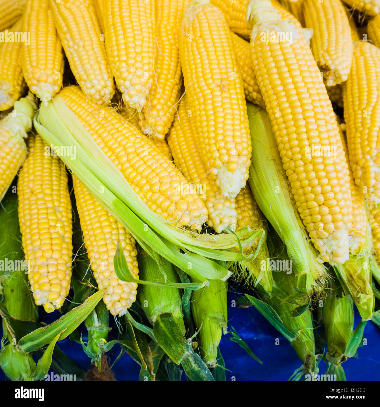 market stall with corncobs. Fresh sweet corn Stock Photo - Alamy