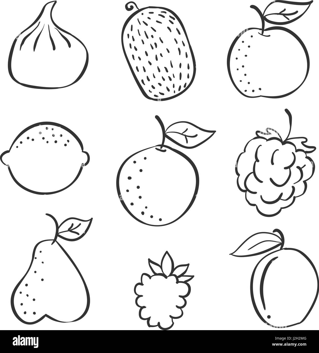 Set of fruit fresh hand draw vector art Stock Vector Image & Art - Alamy