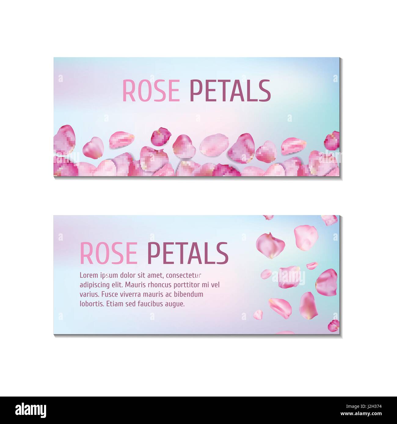 Banners with rose petals Stock Vector Image & Art - Alamy