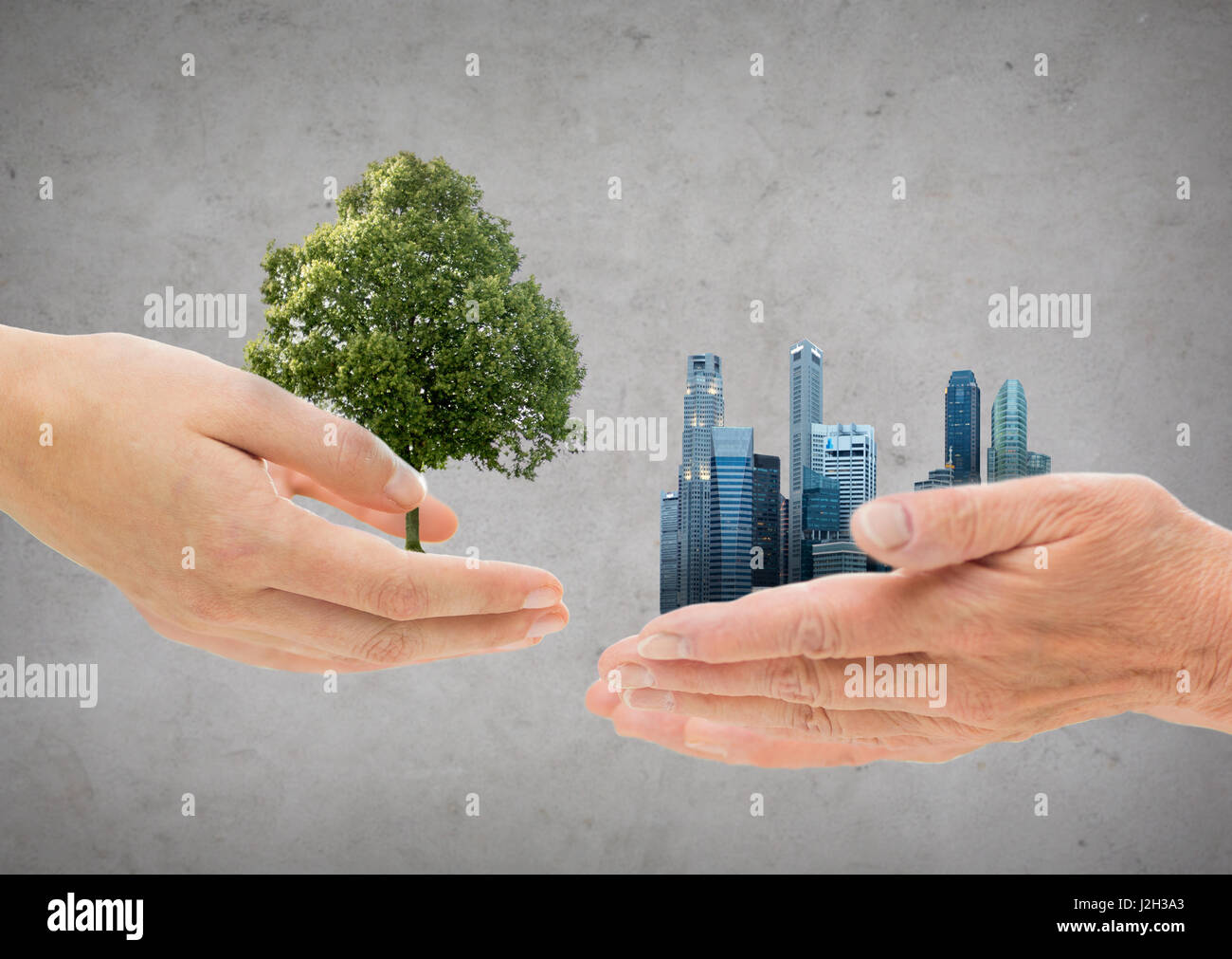 hands holding green oak tree and city buildings Stock Photo - Alamy