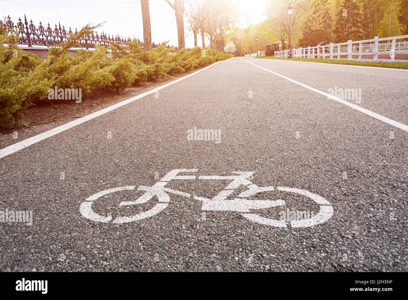 Bicycle sign on the road. Bike lane in the park Stock Photo - Alamy