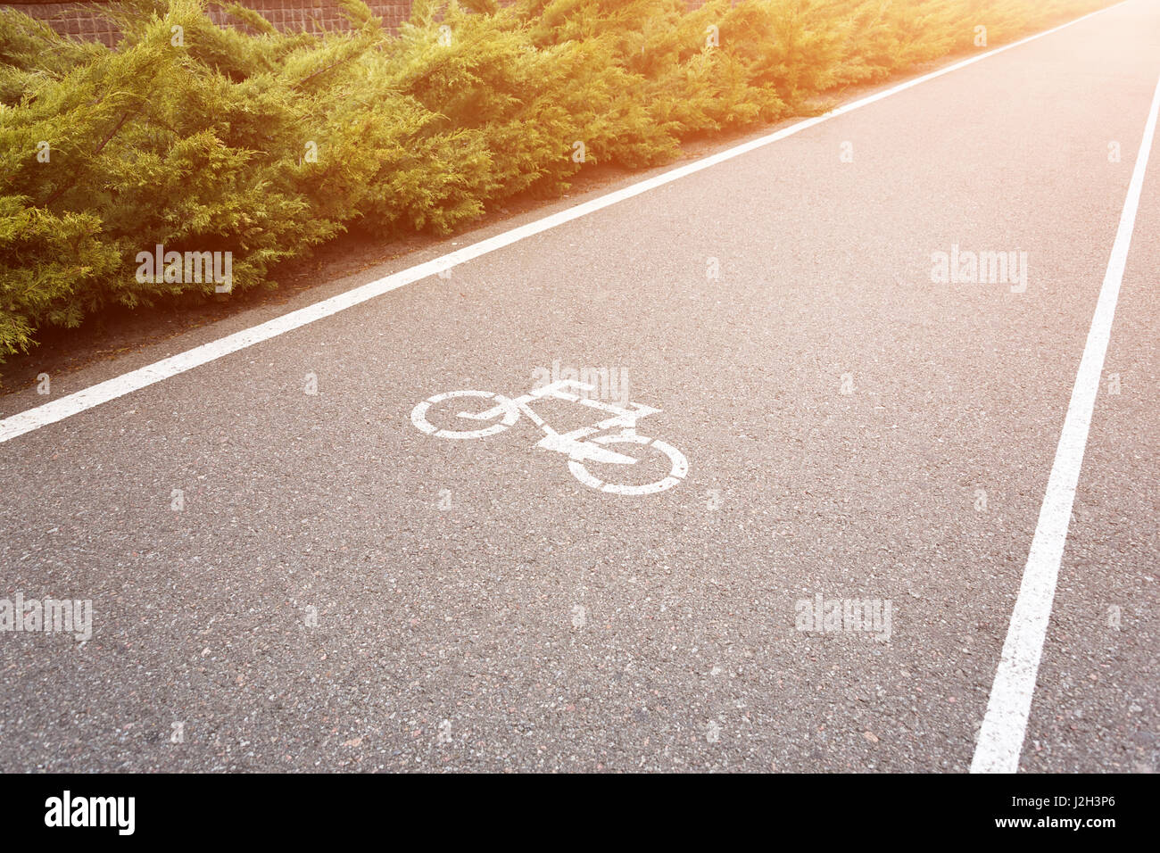 Bicycle sign on the road. Bike lane in the park Stock Photo - Alamy