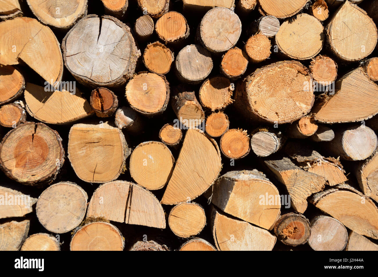 Stacked firewood logs Stock Photo - Alamy