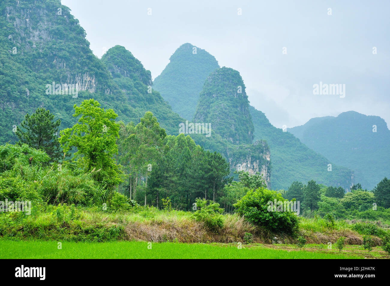 Beautiful countryside scenery in spring Stock Photo - Alamy