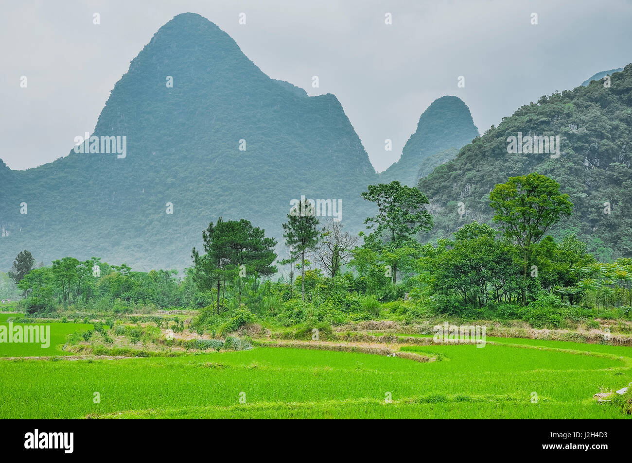 Beautiful countryside scenery in spring Stock Photo - Alamy