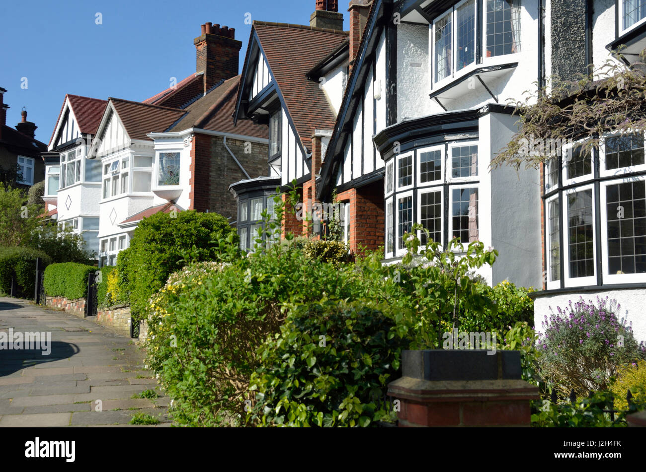 Linden Road N10, Muswell Hill, London, UK Stock Photo - Alamy