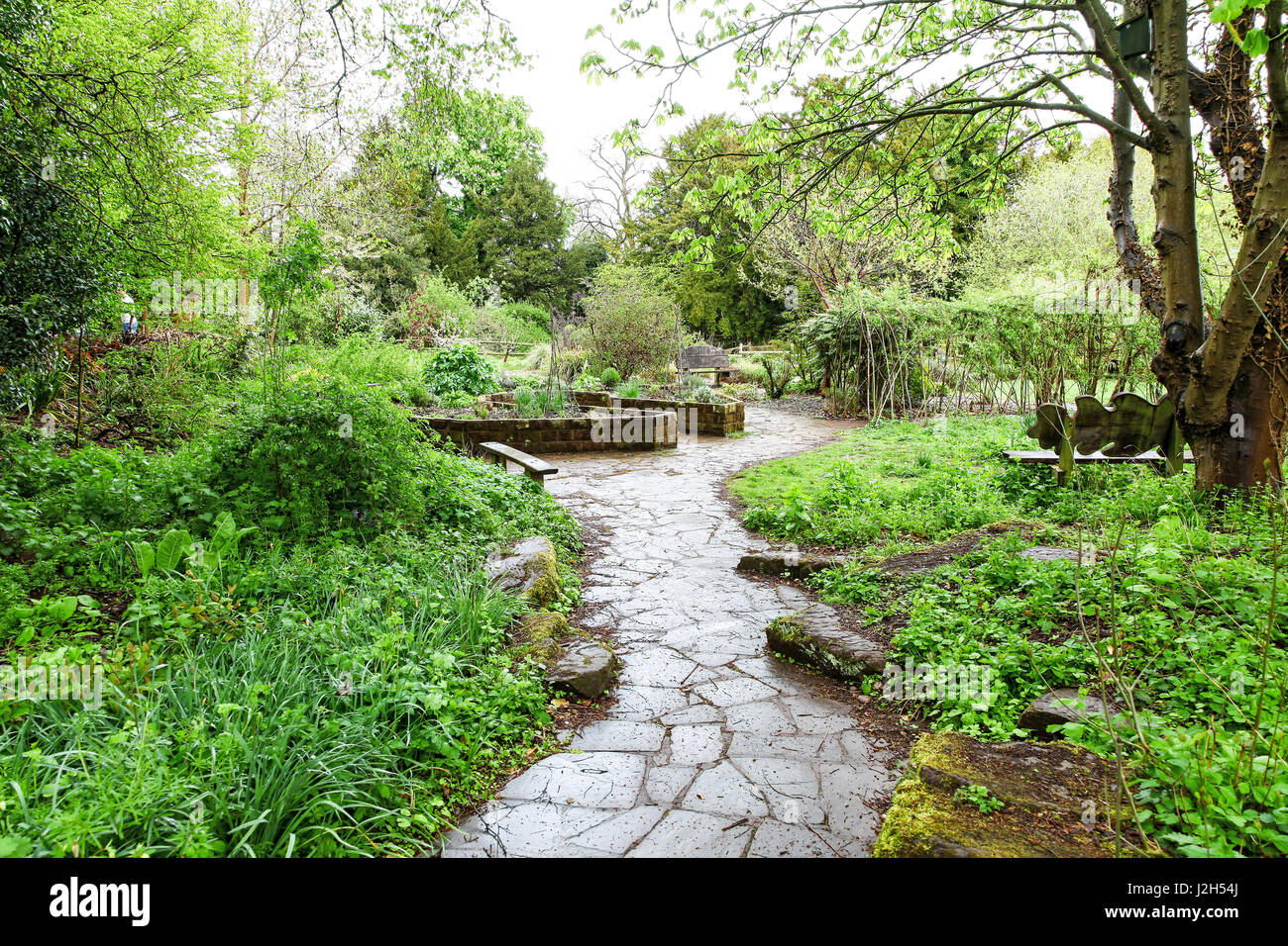 The Wolseley Centre, Staffordshire Wildlife Trust’s HQ at Wolseley ...