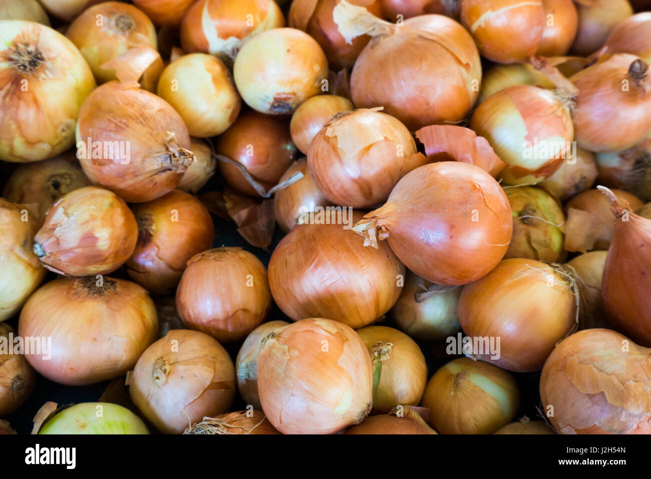 Fresh onion. Ripe onions as background Stock Photo - Alamy