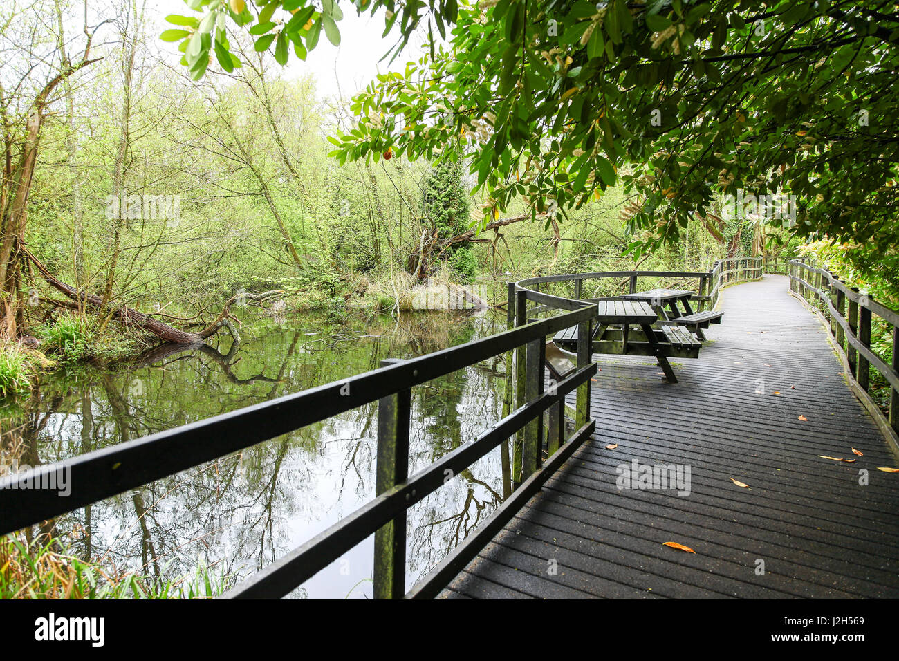 The wolseley centre hi-res stock photography and images - Alamy