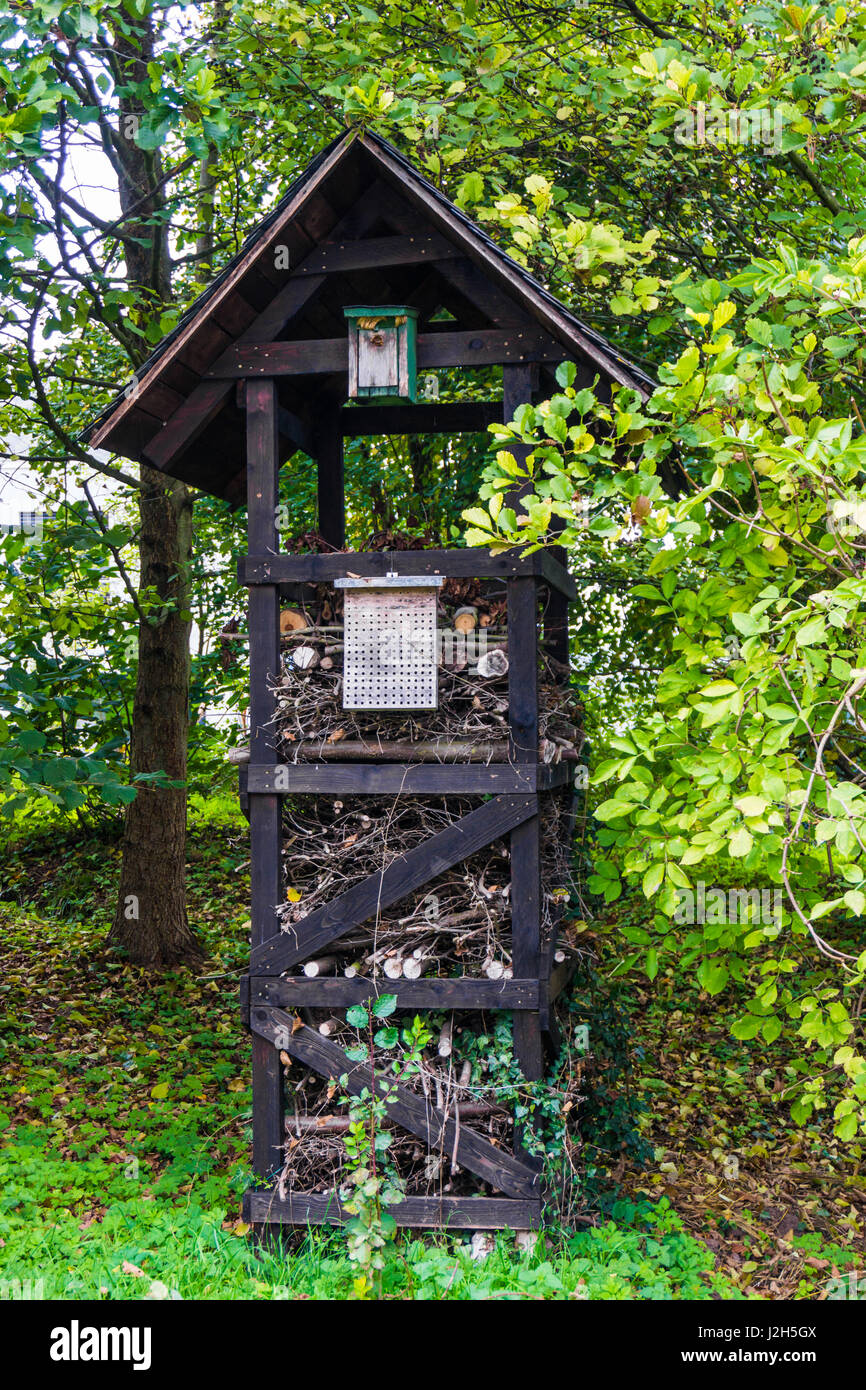 Woodpile For Insects High Resolution Stock Photography and Images - Alamy