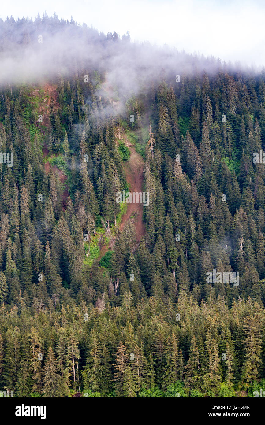 Alaskan pine tree covered wilderness hi-res stock photography and ...