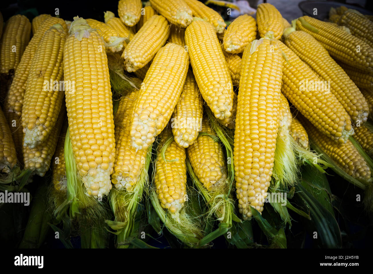 market stall with corncobs. Fresh sweet corn Stock Photo - Alamy