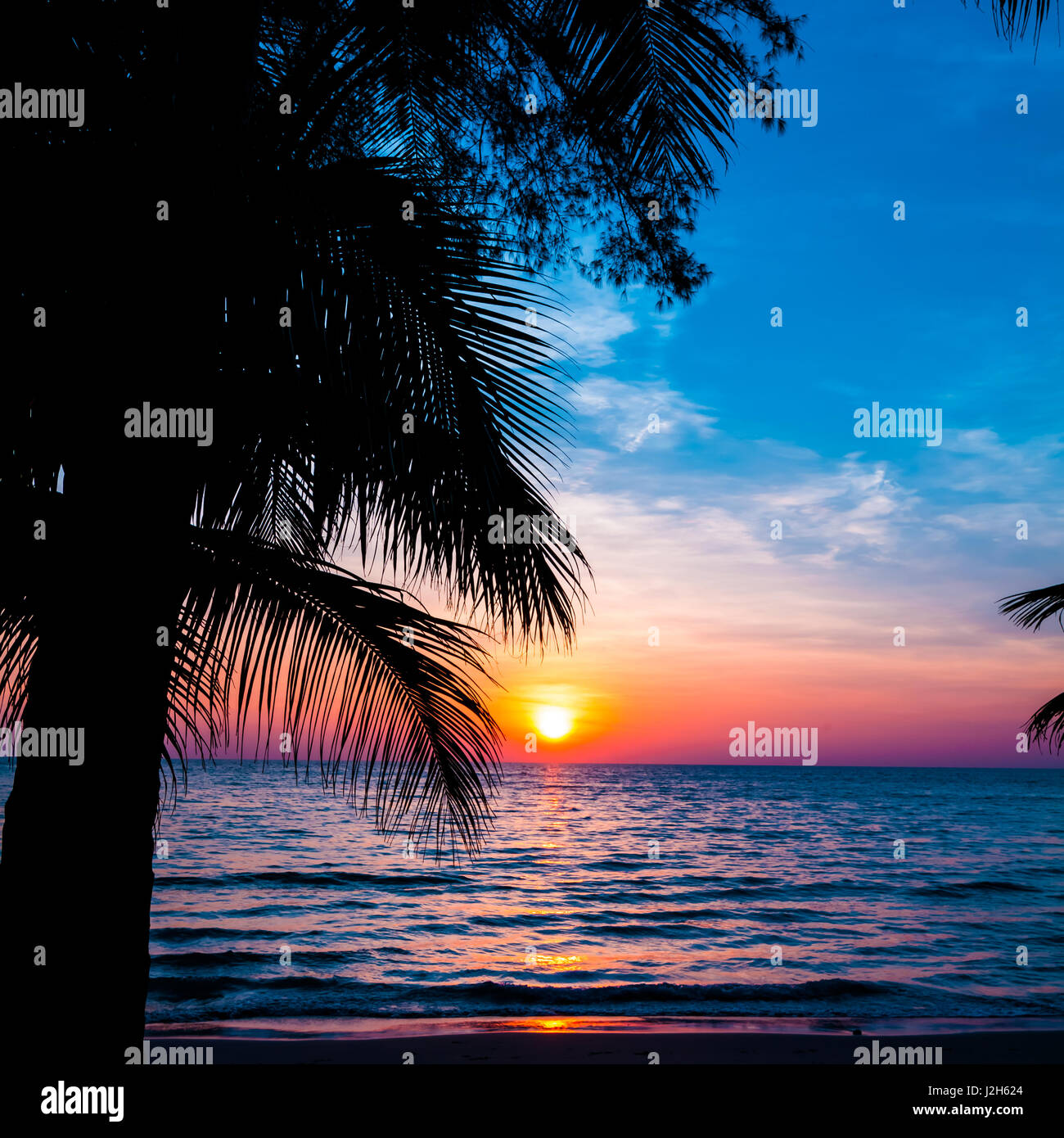 Nice sunset. Ocean Sunrise Stock Photo - Alamy