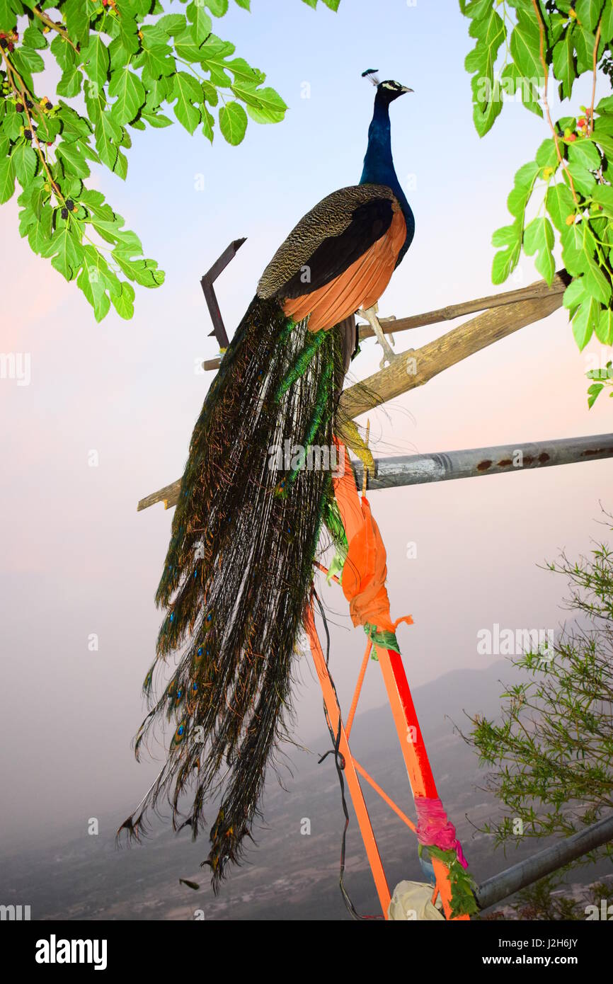 Beautiful landscape art hi-res stock photography and images - Alamy