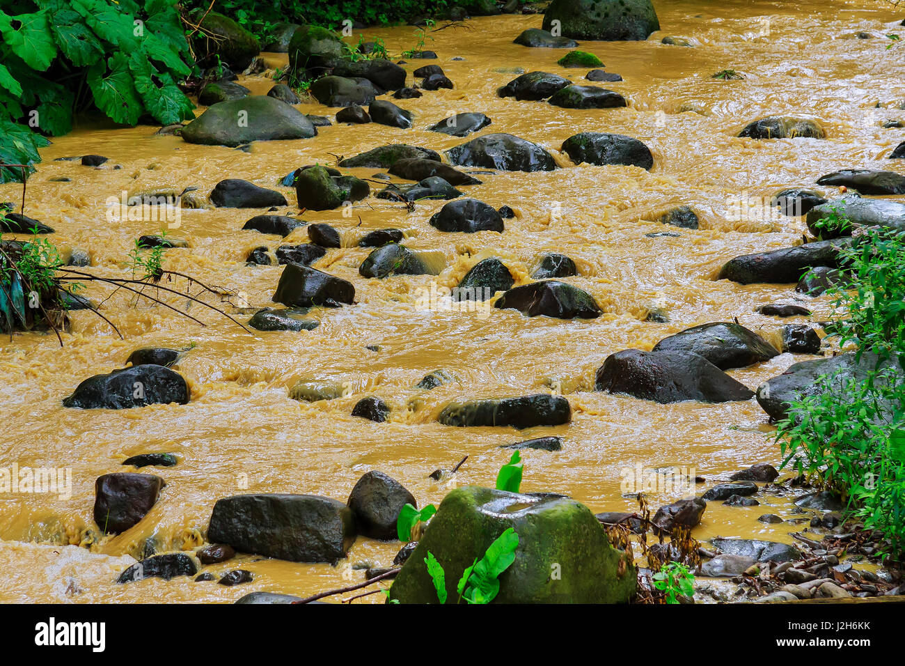 Rainwater stream hi-res stock photography and images - Alamy