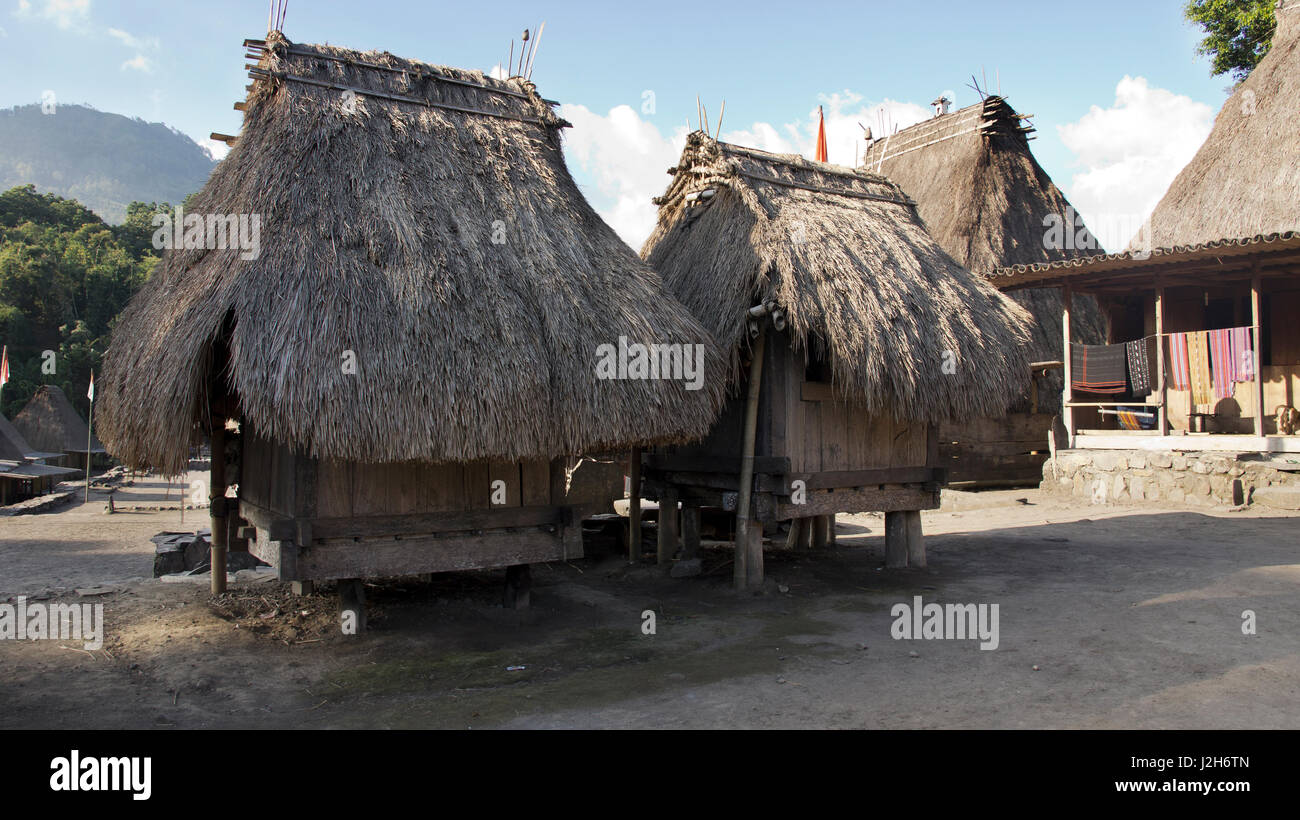 Bena a traditional village with grass huts of the Ngada people in ...