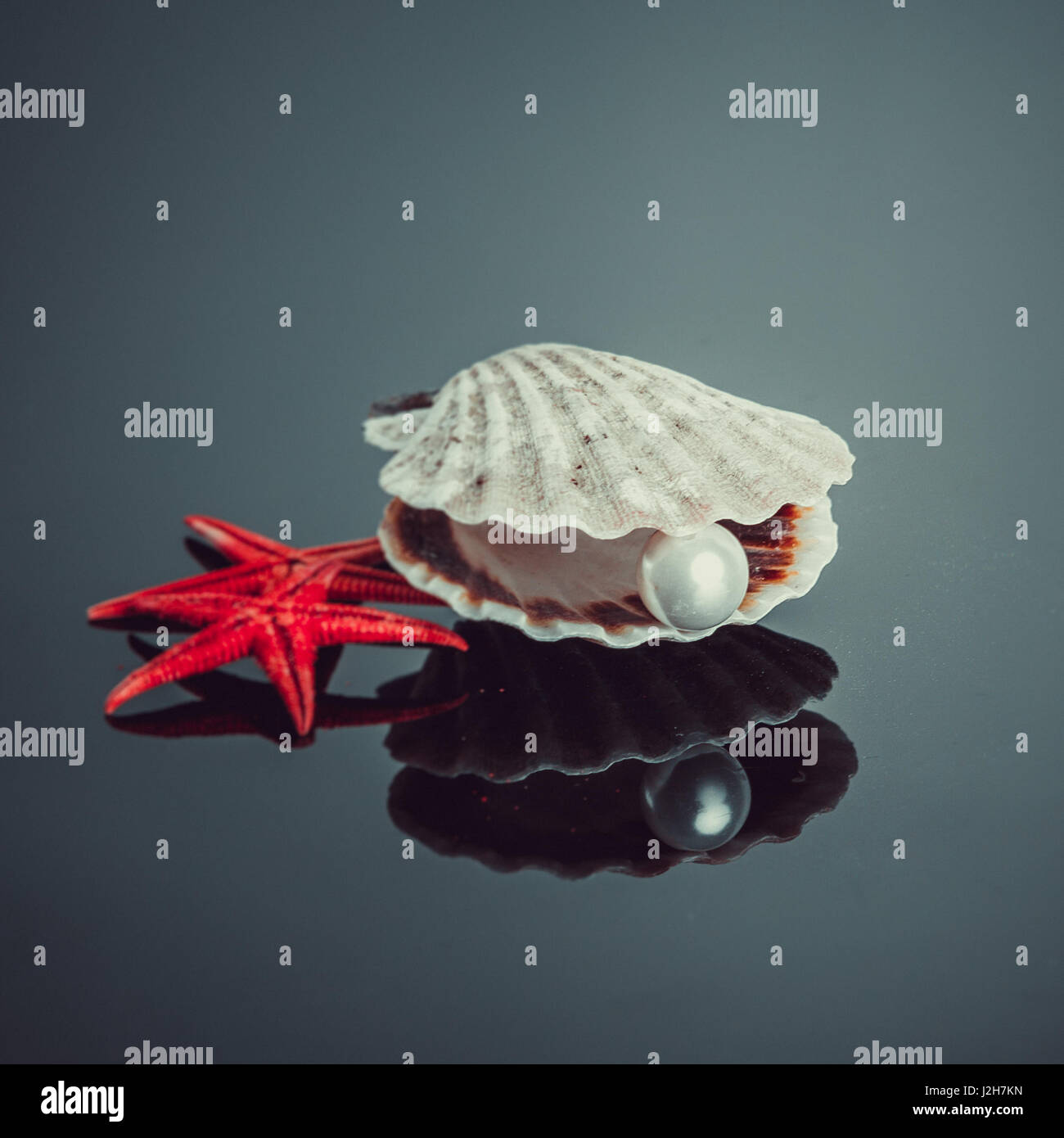 pearl on the seashell. seashell with pearl on black background Stock ...