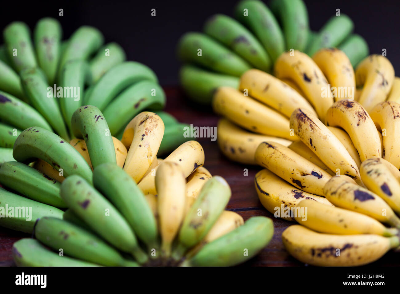 Bunches of green unripe bananas hi-res stock photography and images - Alamy