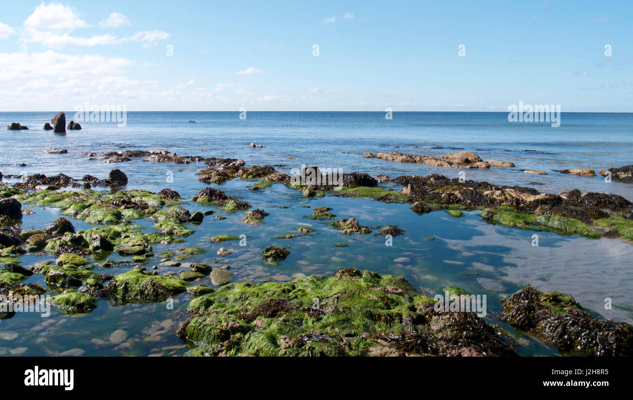 Spring landscapes looking across South East Cornwall, UK Stock Photo ...