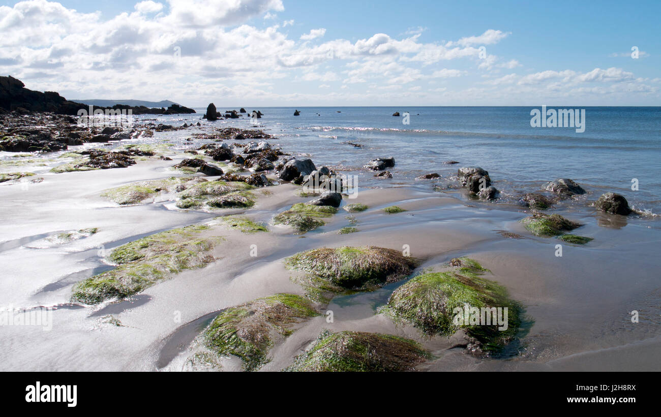 Spring landscapes looking across South East Cornwall, UK Stock Photo ...