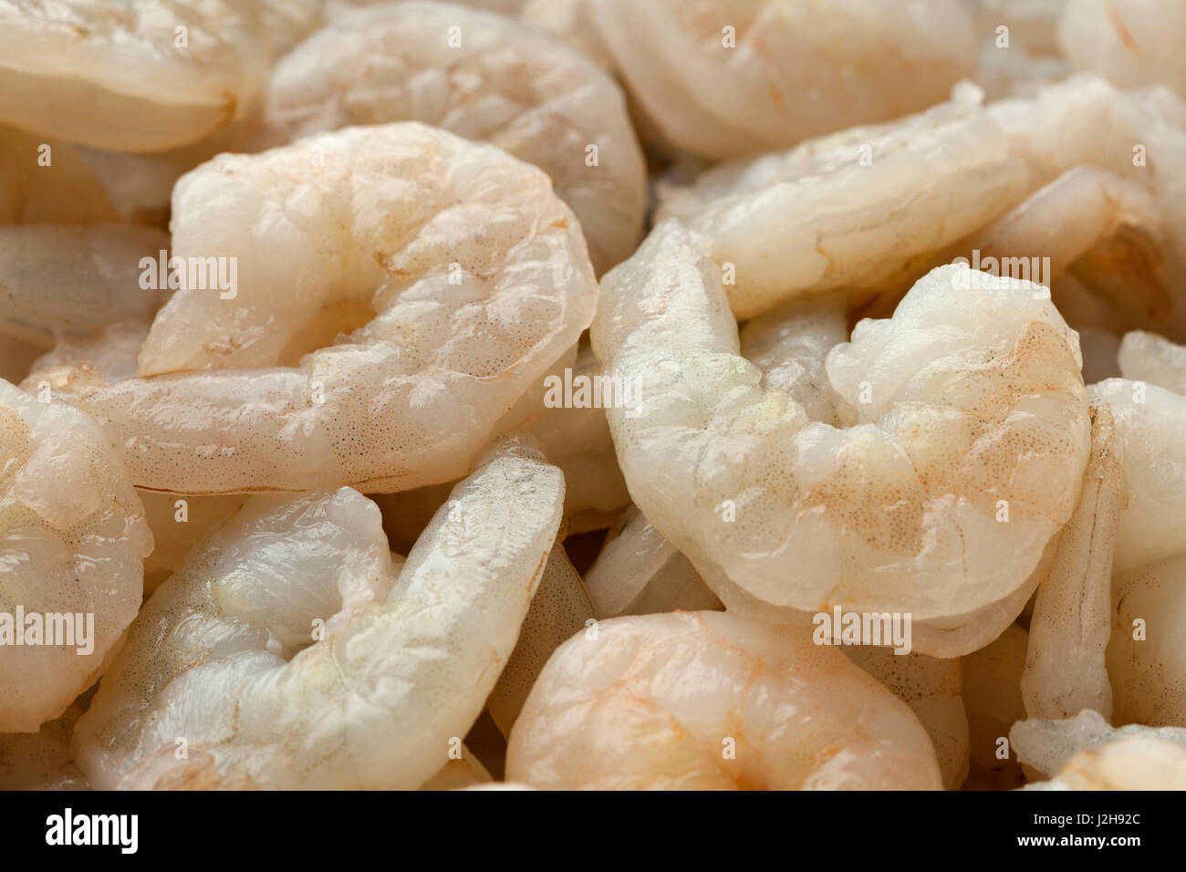 Fresh raw peeled shrimp close up full frame Stock Photo - Alamy