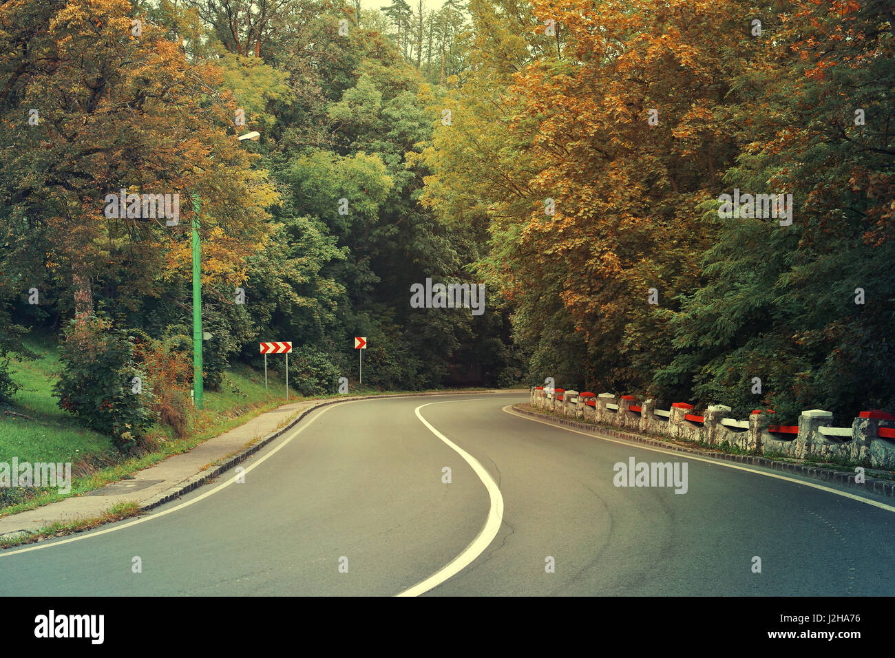 Winding asphalt road path walkway in nature Stock Photo - Alamy