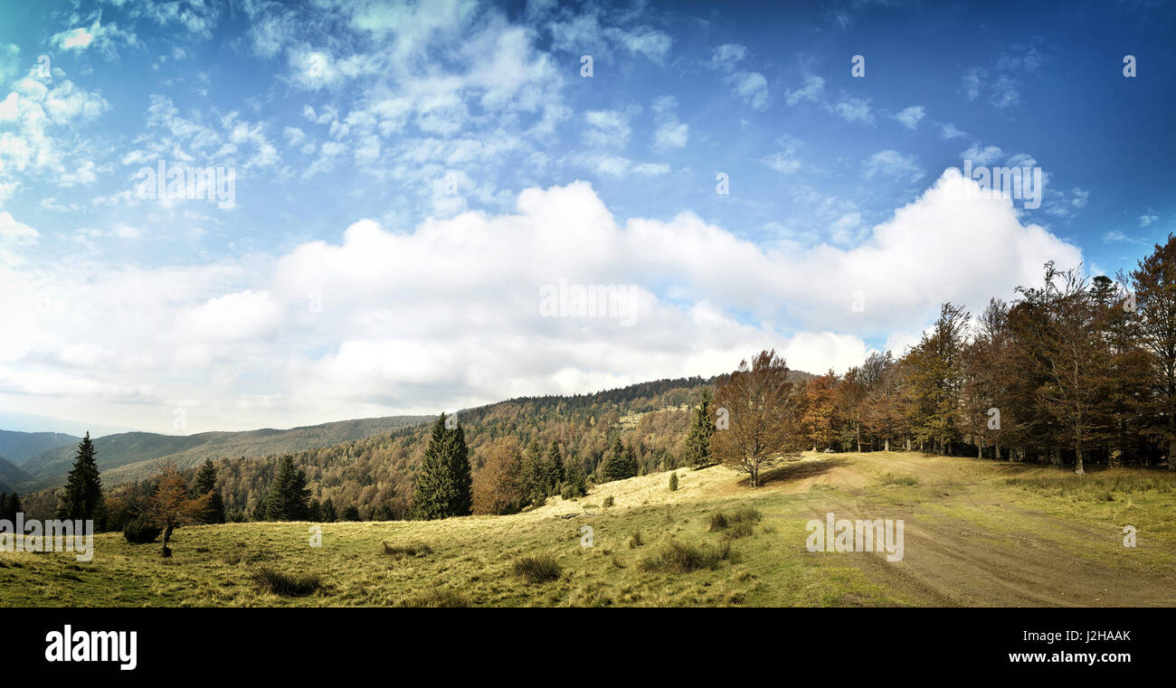 Mountain forest in late Autumn Stock Photo - Alamy