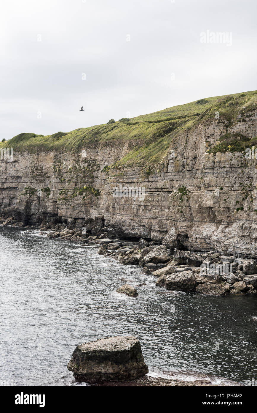 Dancing Ledge Quarry, Dorset, England, UK Stock Photo - Alamy
