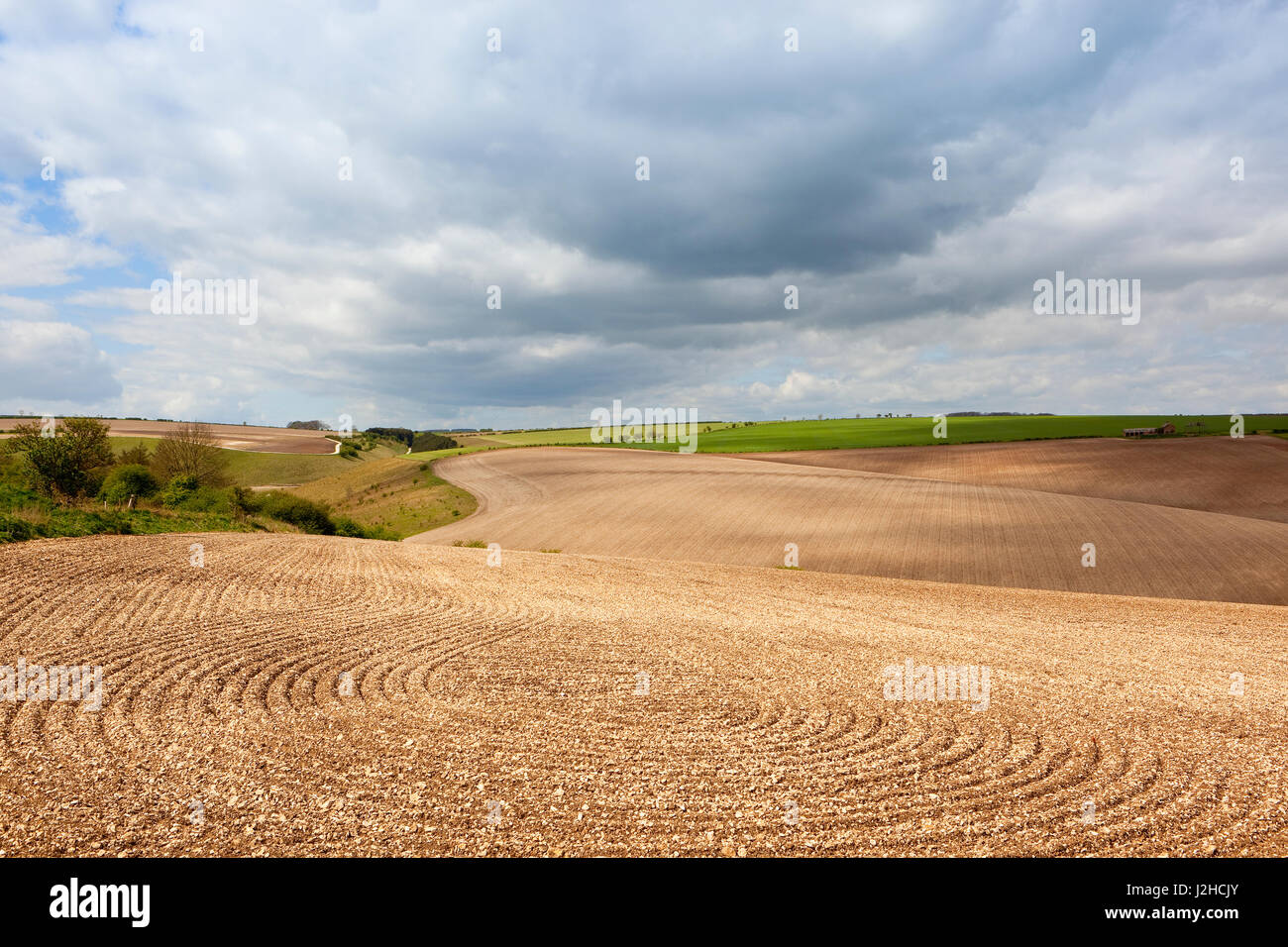 lines and patterns in newly cultivated chalky soil in the undulating ...