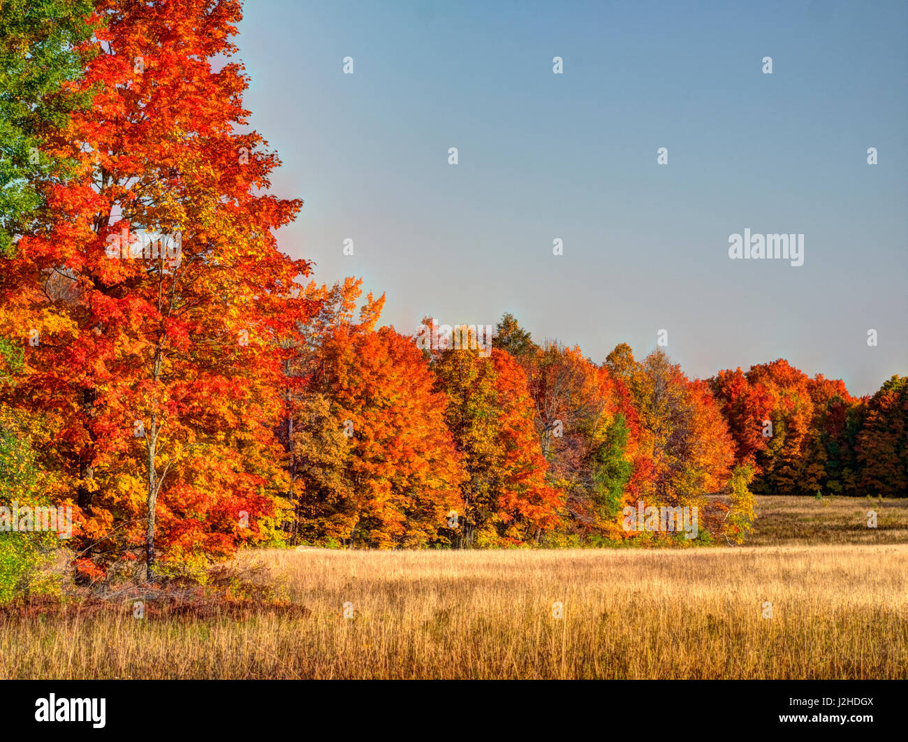 USA, Michigan, Upper Peninsula. Fall colors in Hiawatha National Forest ...